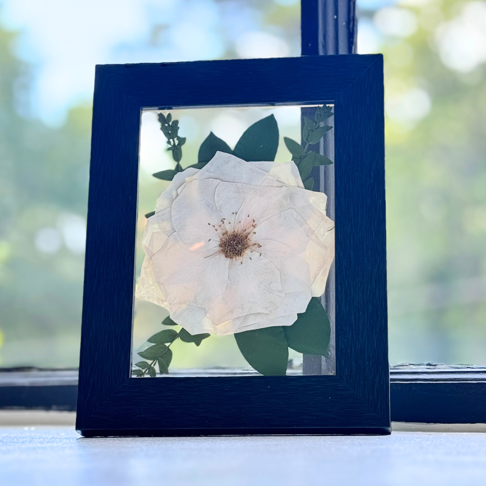 pressed flower frame black