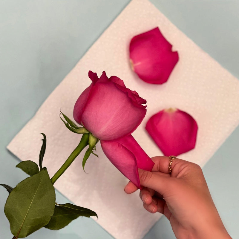 Resin Flower Petal Designs - Flowers Forever & Bellabeads